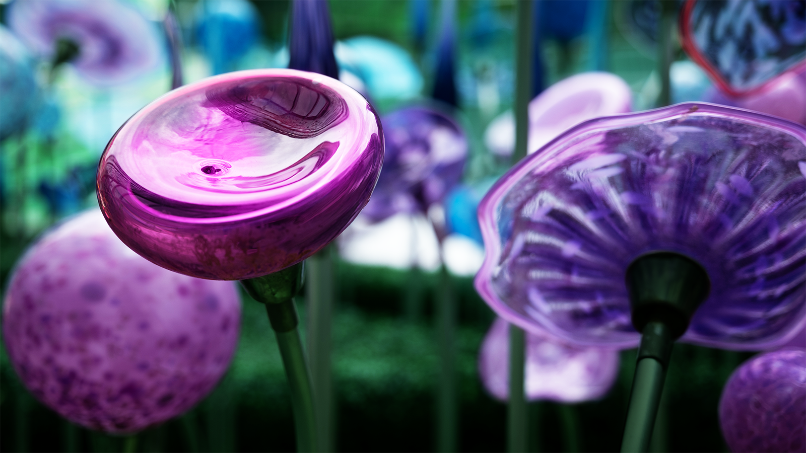 Ways To Give - The Max Tanenbaum Healing Garden